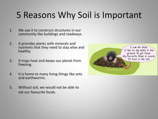 All About Soil (Updated Version) | PDF