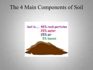 All About Soil (Updated Version) | PDF