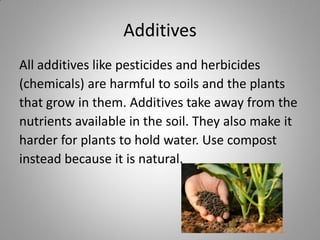 All About Soil (Updated Version) | PDF | Gardening | Home & Garden