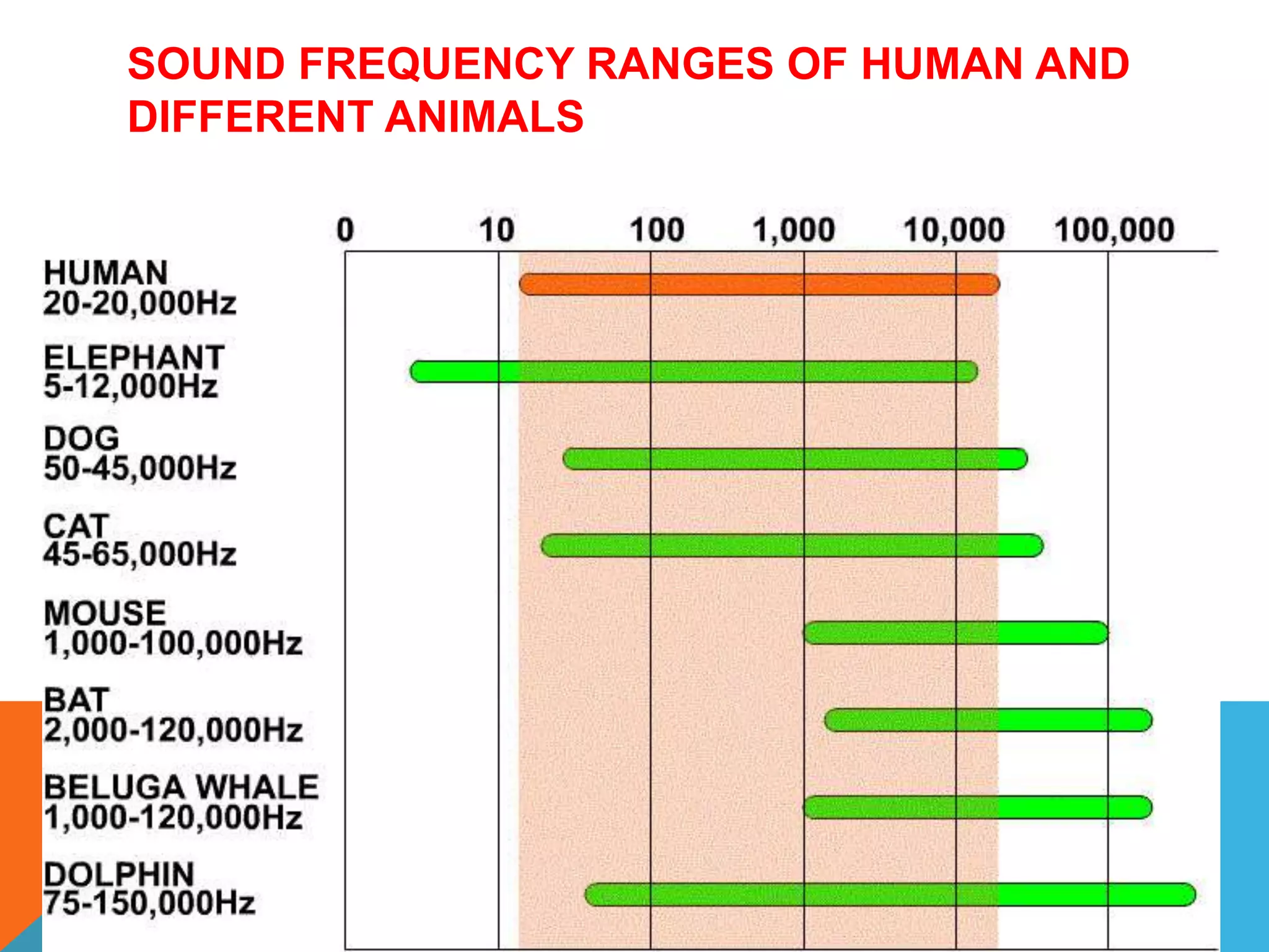 All about Sound and Light for Grade 7 | PPTX