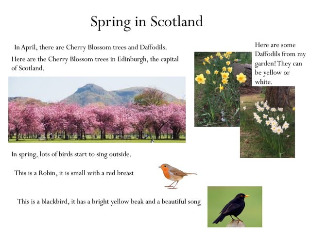 ALL ABOUT SPRING | PDF