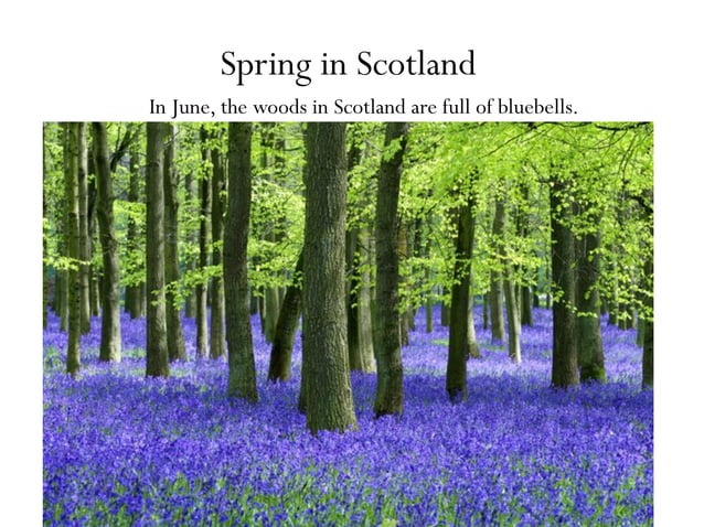 ALL ABOUT SPRING | PDF