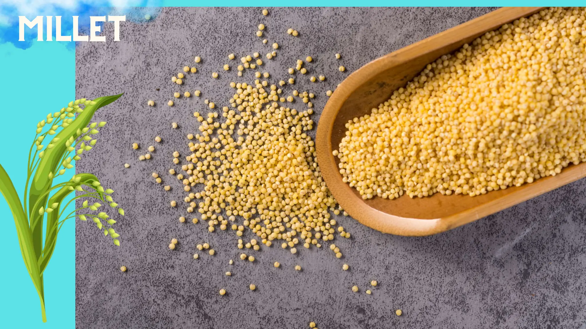 All About Starch and cereals as well as the examples of starch and ...