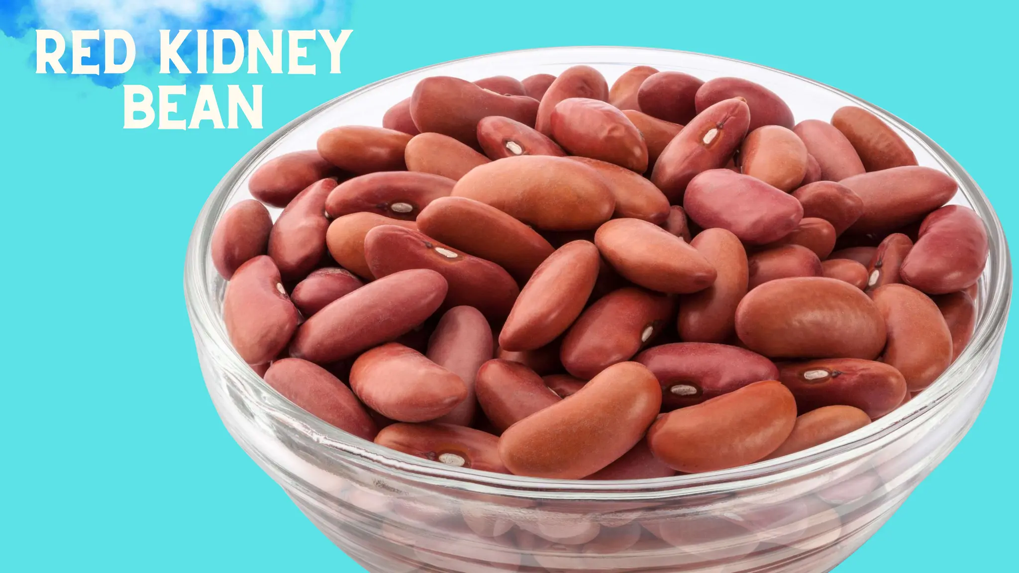 All About Starch and cereals as well as the examples of starch and ...