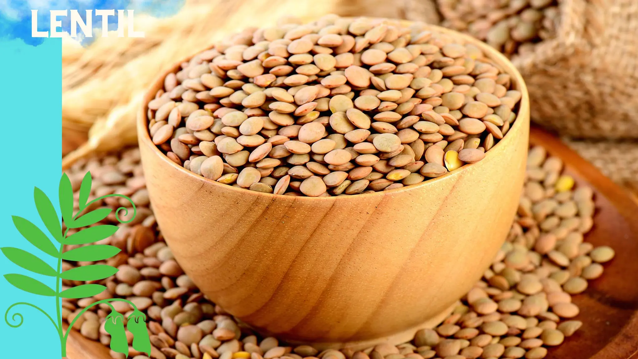 All About Starch and cereals as well as the examples of starch and ...