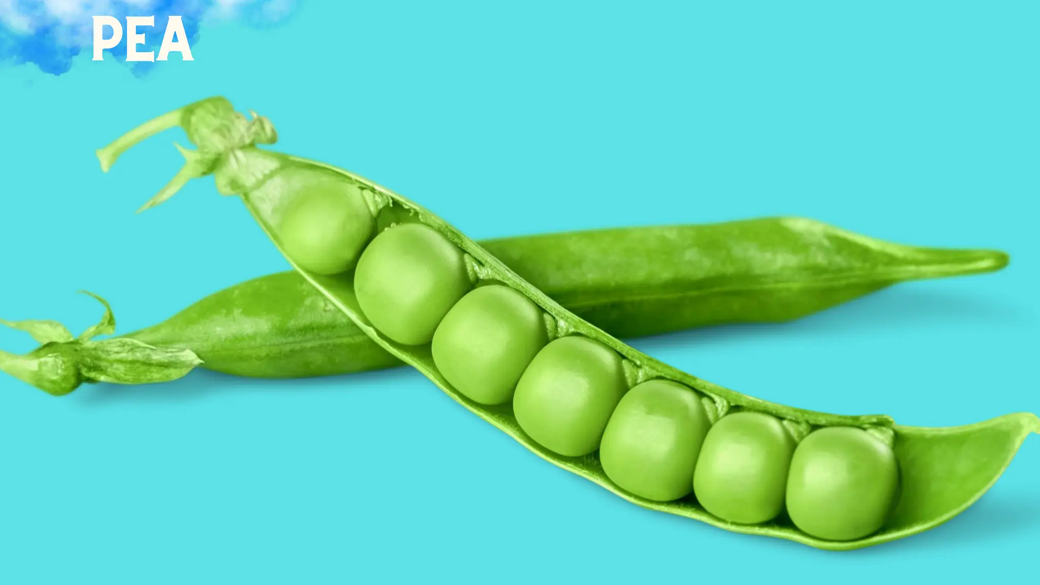 All About Starch and cereals as well as the examples of starch and ...