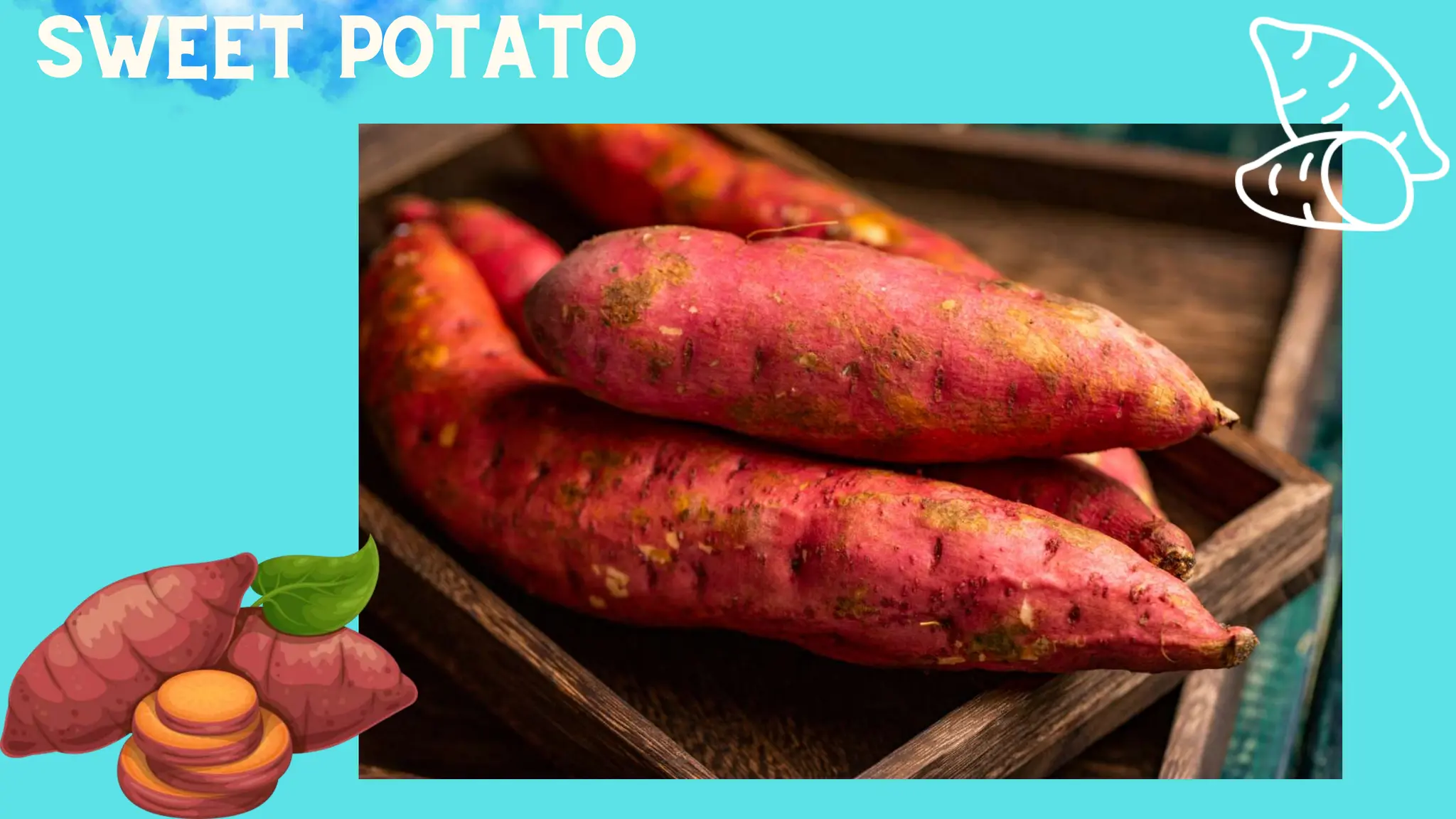 All About Starch and cereals as well as the examples of starch and ...