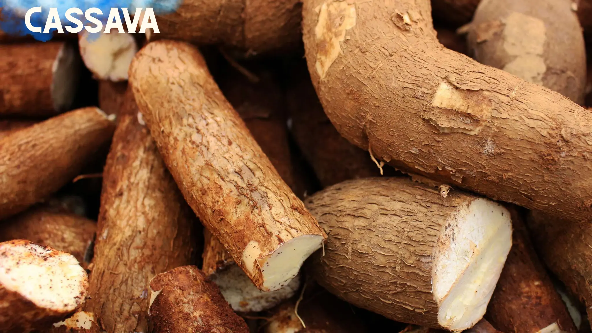 All About Starch and cereals as well as the examples of starch and ...