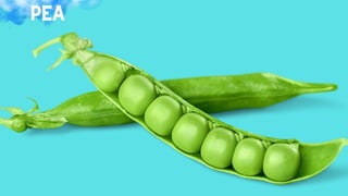 All About Starch and cereals as well as the examples of starch and ...
