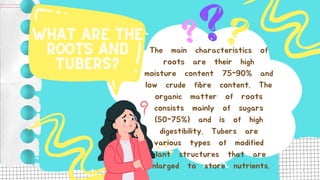 All About Starch and cereals as well as the examples of starch and ...