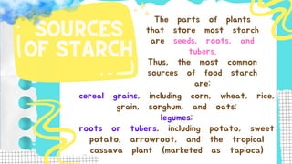 All About Starch and cereals as well as the examples of starch and ...
