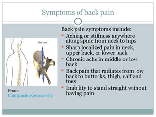 All About The Back | PPT