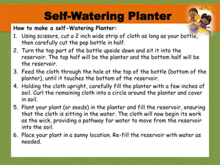 All About the Self - Watering Planter | PDF