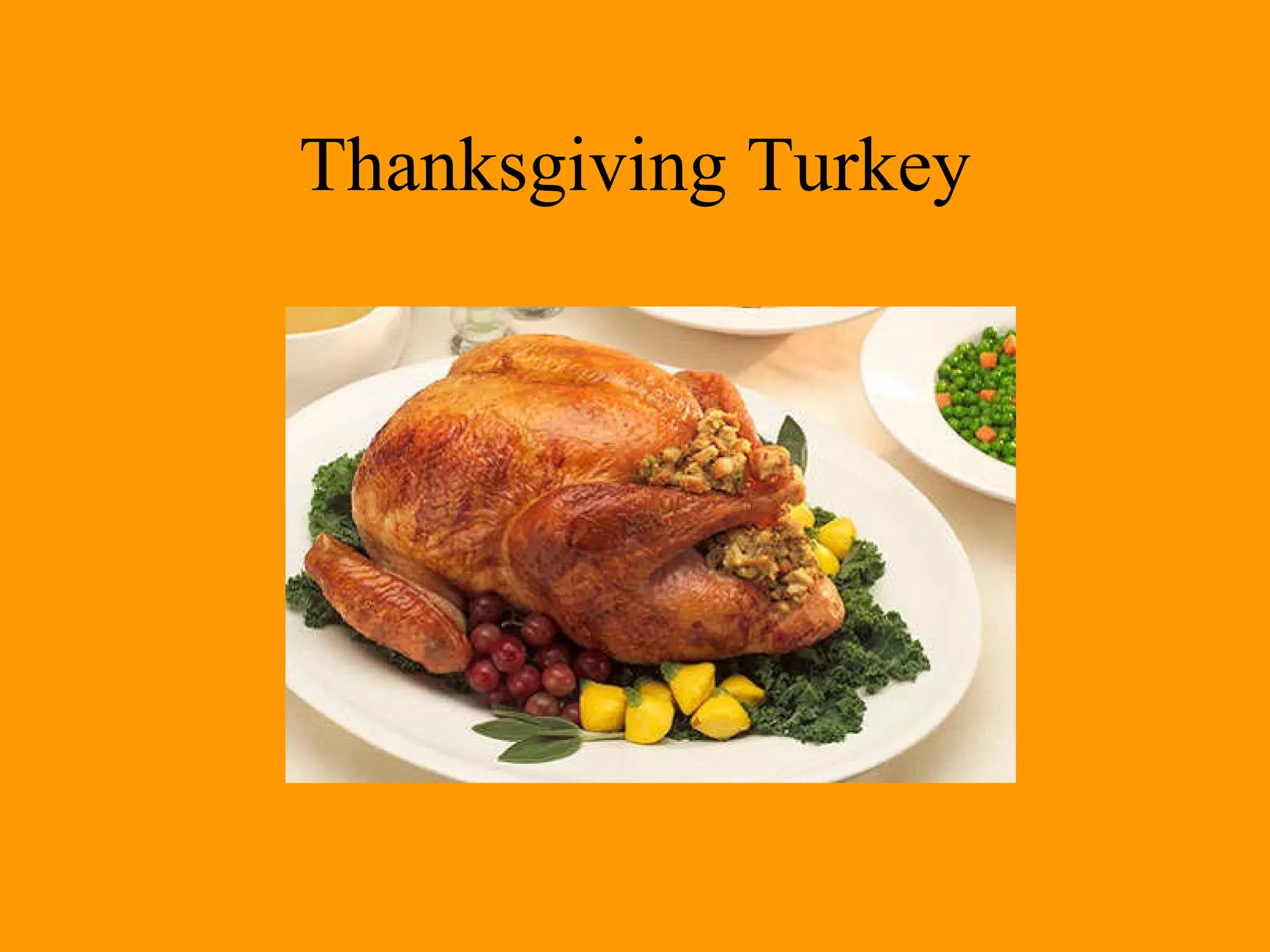 All about turkey’s | PPT