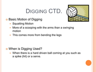 All about Vball-Interactive PowerPoint | PPTX