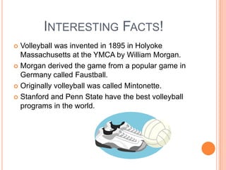 Some information about volleyball store
