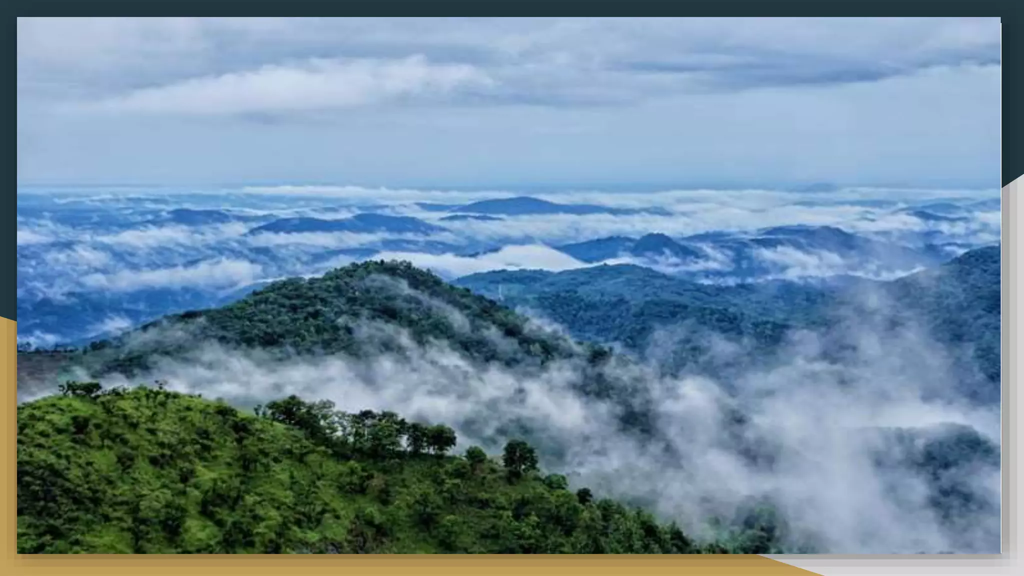 All about wayanad | PPTX