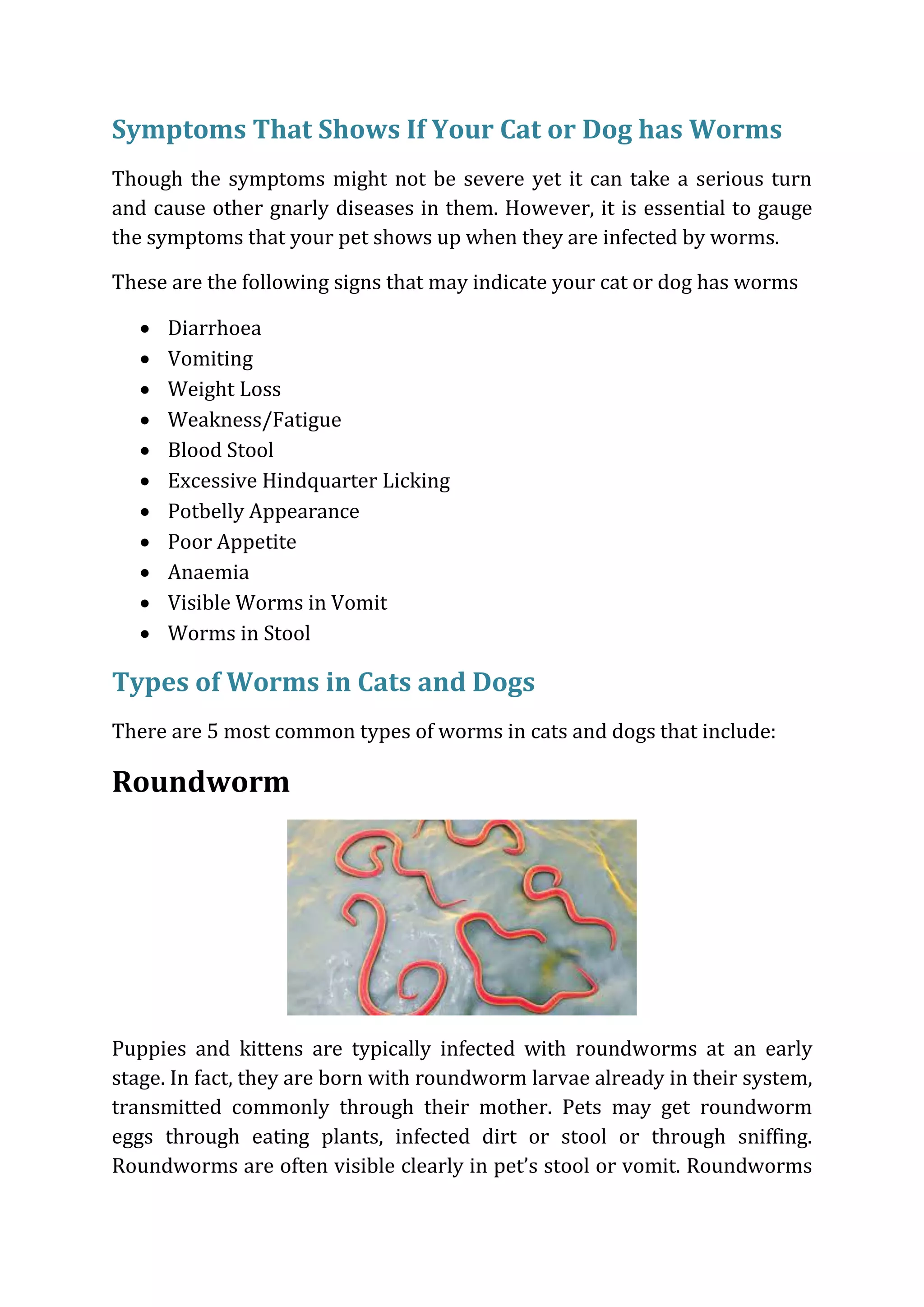 All about worm infection in dogs and cats | PDF