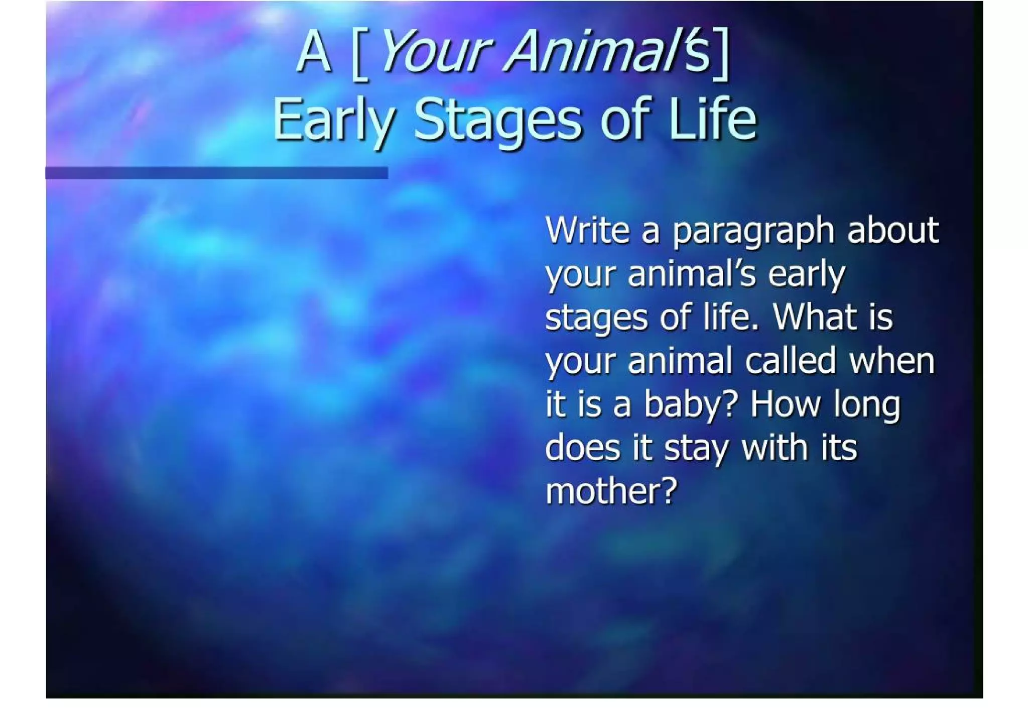 All About [Your Animal] | PDF