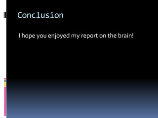 All about your brain | PPT