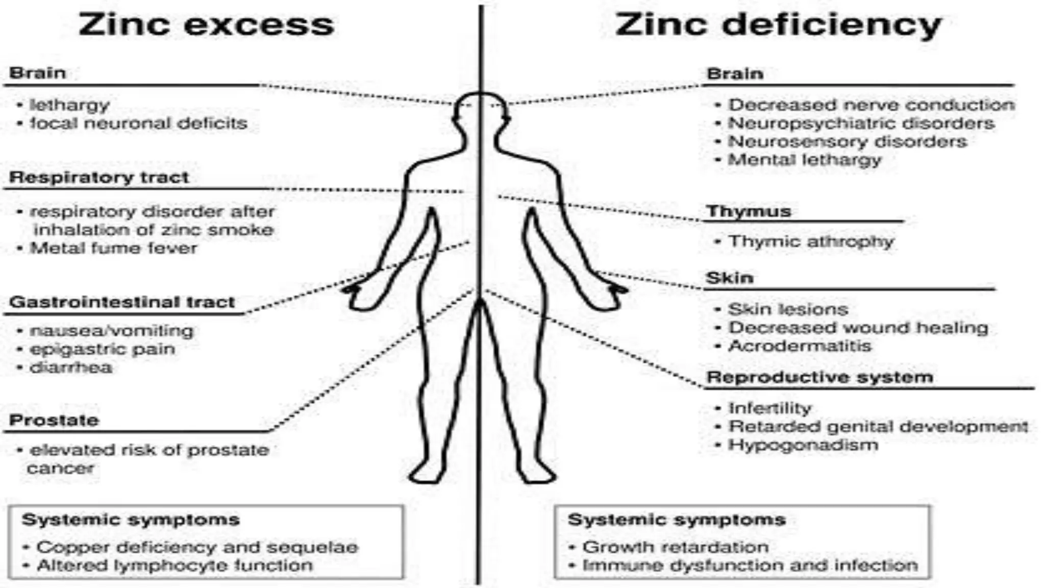 All about Zinc | PPTX