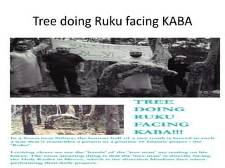 Allah- One and Only | PPTX