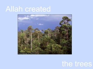 Allah is-the-creator | PPS | Islam | Religion & Spirituality