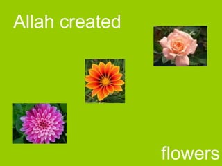Allah is the Creator | PPS