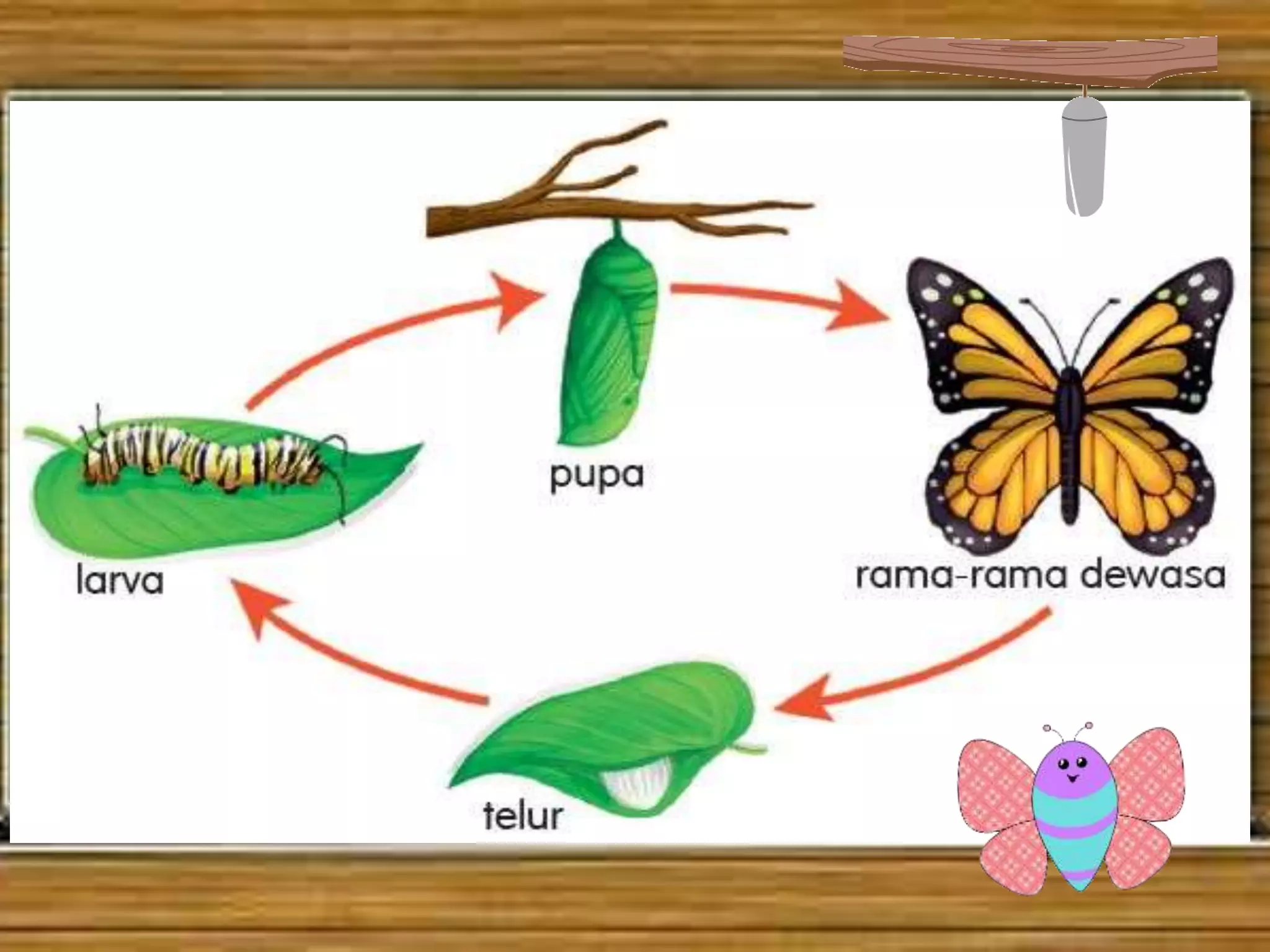 Allah bersifat hayat | PPT