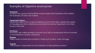 Allahbux presentation | PPT