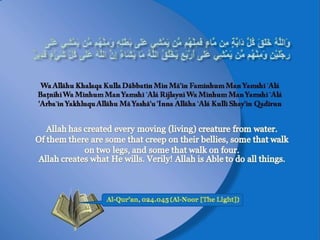 Allah created every things from water | PDF