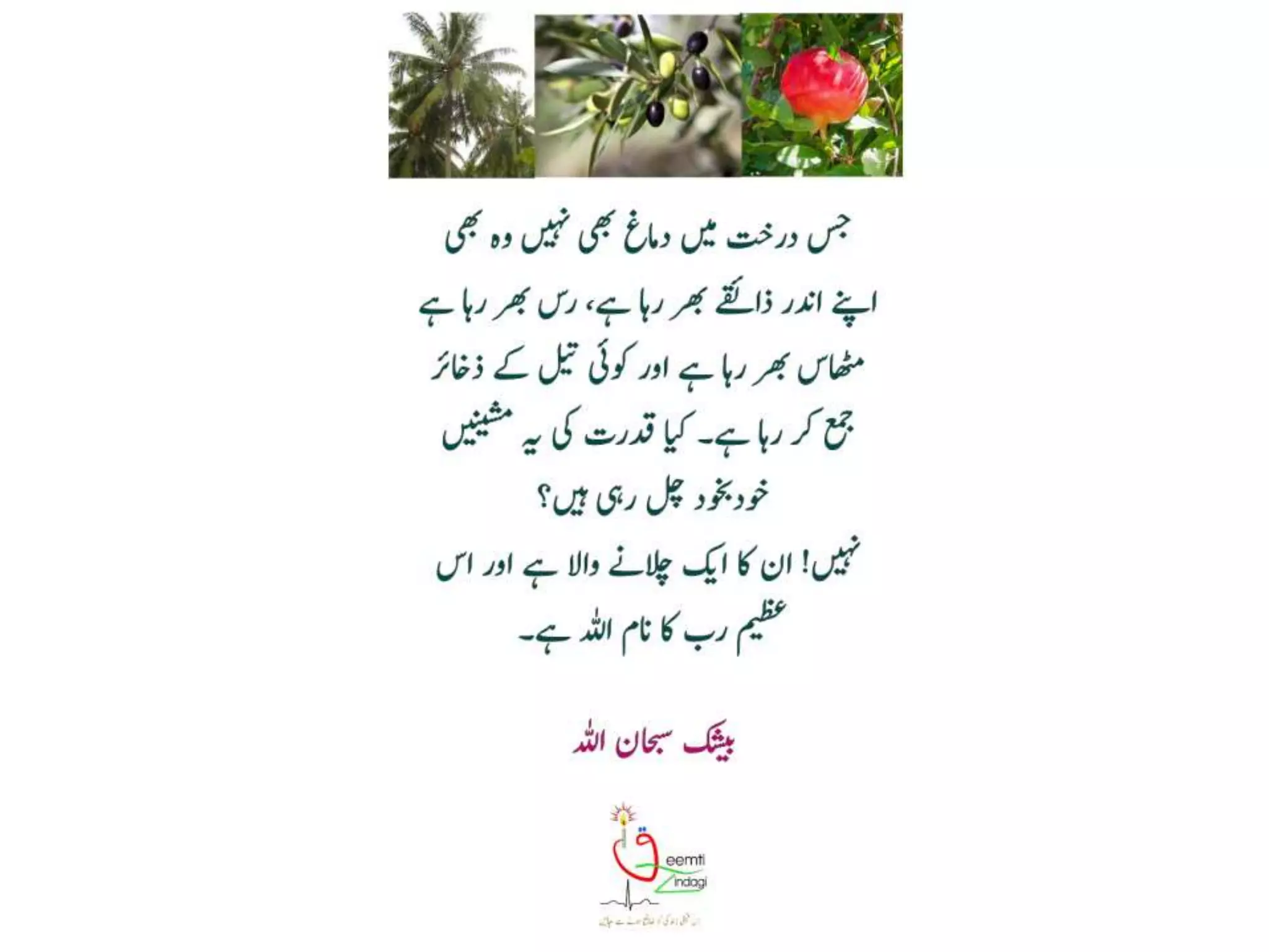 Allah Ki Tareef -5 | PPTX