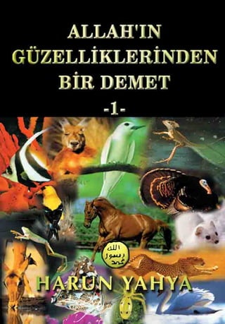 Allah'ın güzelliklerinden bir demet 1. turkish (türkçe) | PDF