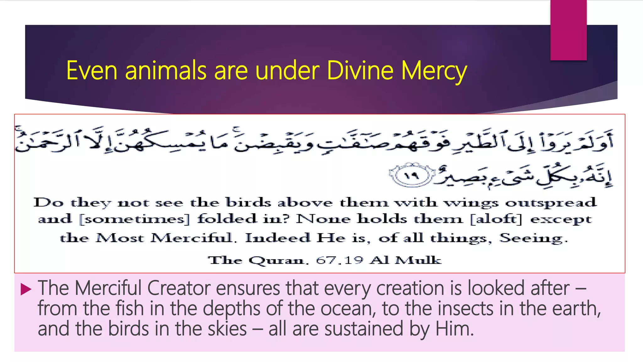 Allah's mercy | PPTX