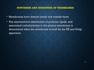 Membrane Structure and Functions | PPT