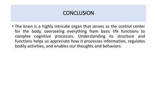 REVIEW OF ANATOMY AND PHYSIOLOGY OF BRAIN.pptx