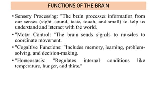 REVIEW OF ANATOMY AND PHYSIOLOGY OF BRAIN.pptx