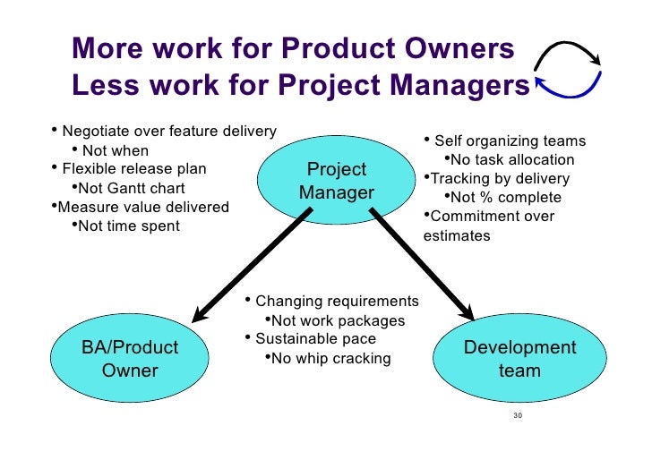 The BA role in Agile Development