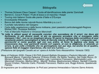 Alla Scoperta Della Natura | PPS