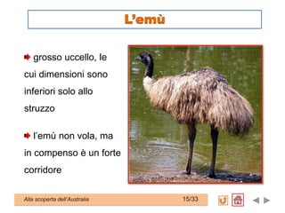 Alla scoperta dell'Australia | PPSX