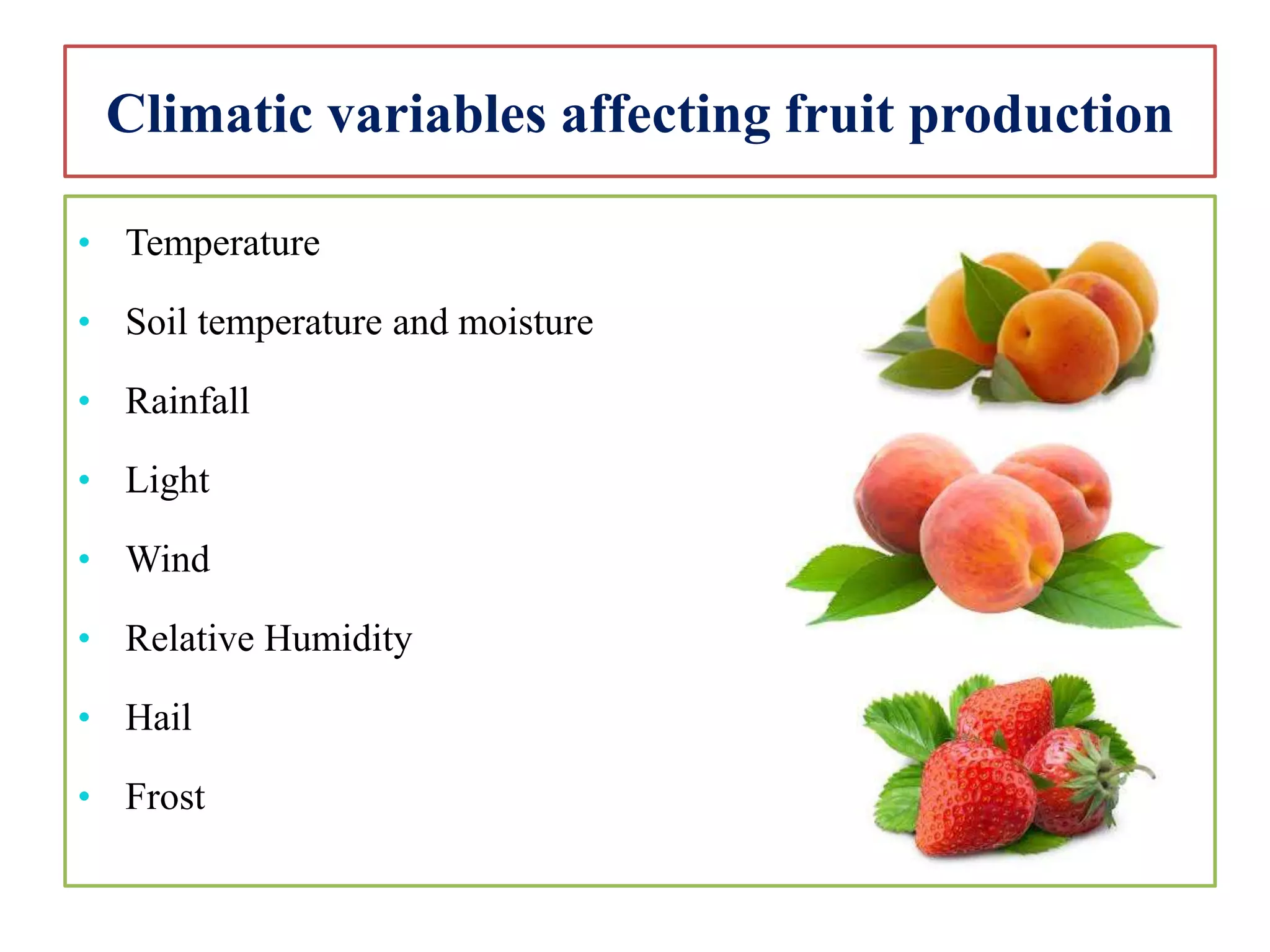 Impacts of climate change on important fruit crops of Rosaceae family ...