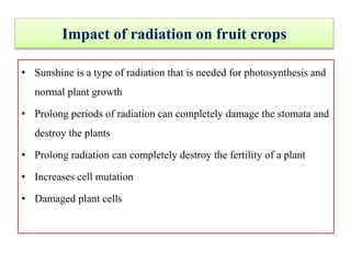 Impacts of climate change on important fruit crops of Rosaceae family ...