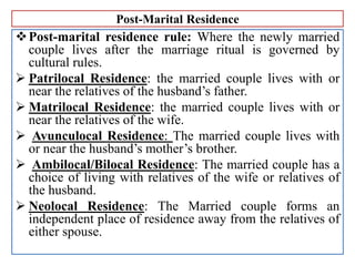 Introduction to Anthropology Course | PPT