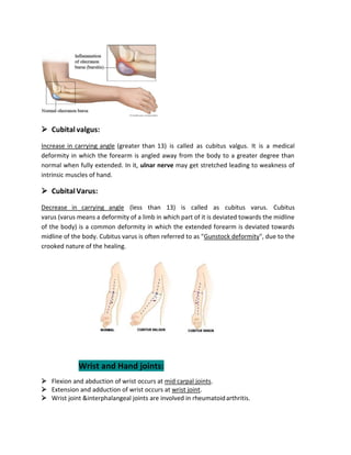 ALL Clinicals of Upper Limb.pdf (Anatomy) | PDF