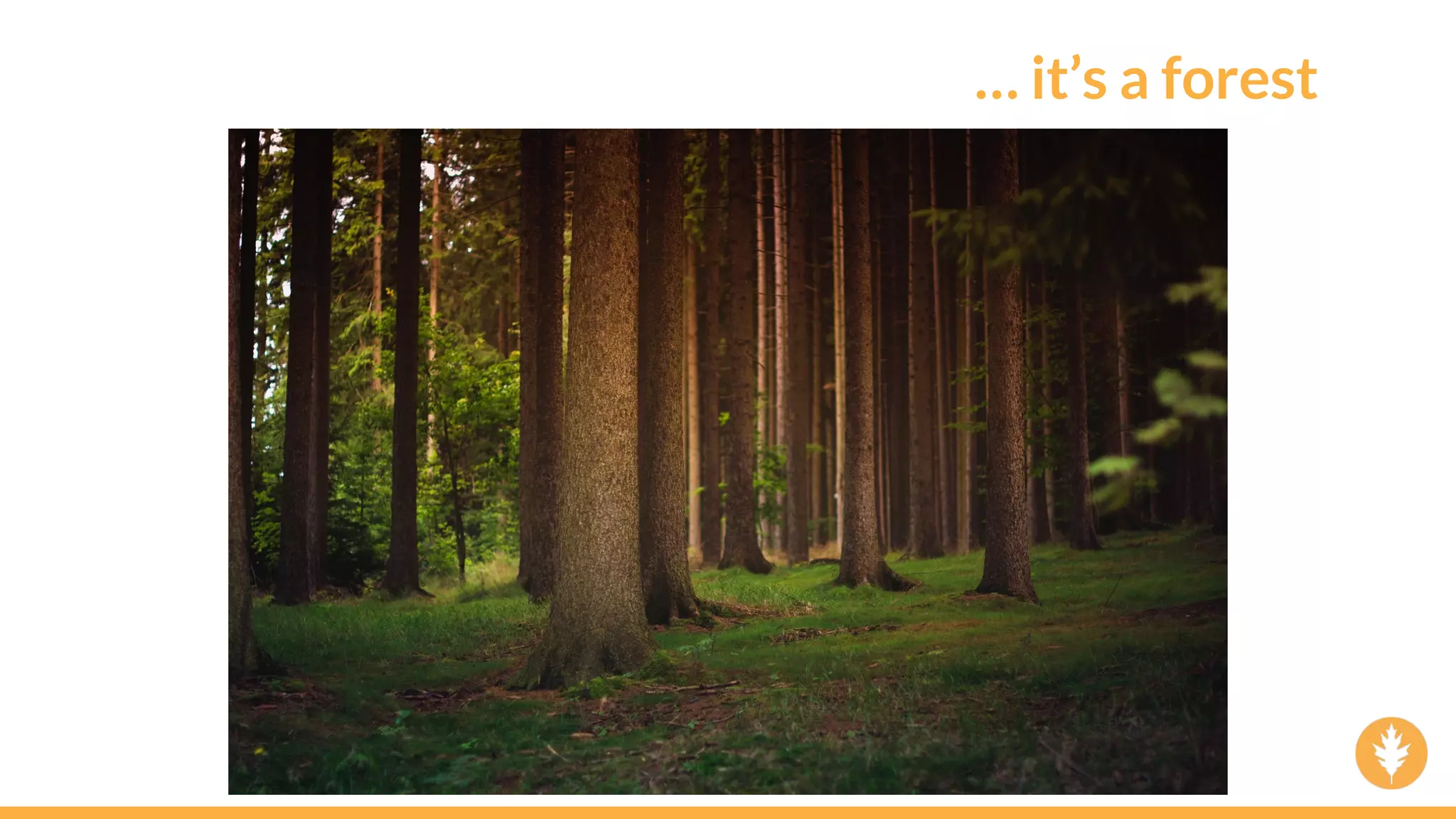 All Day DevOps 2017 - There is No Root Cause | PPT