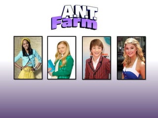 All disney channel programs | PPTX