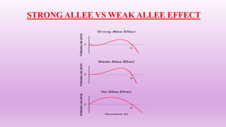 Allee effect | PPTX