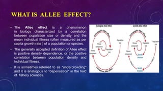 Allee effect | PPT | Free Download