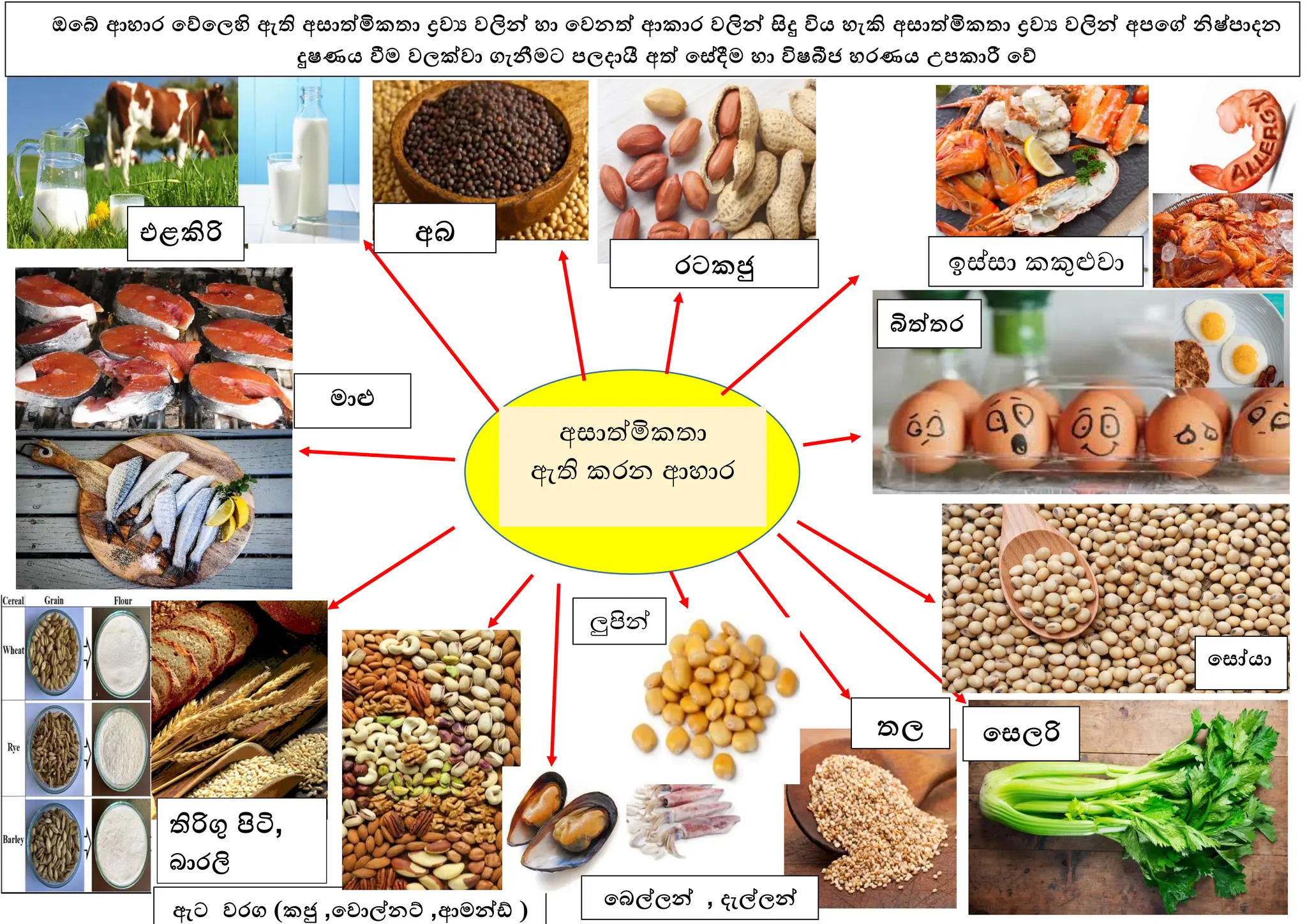 food allergen awareness mind map srilanka | PPT