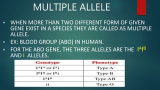 Allele | PPTX